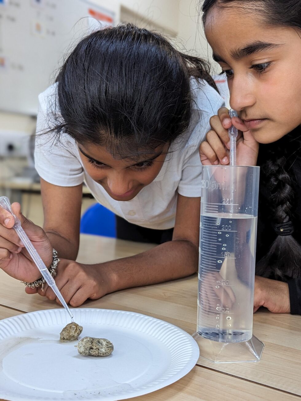 Science - Linthorpe Community Primary School
